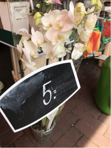 Kees Groenendijk bloemen en planten unit 2.15/3.15 - De Haagsemarkt